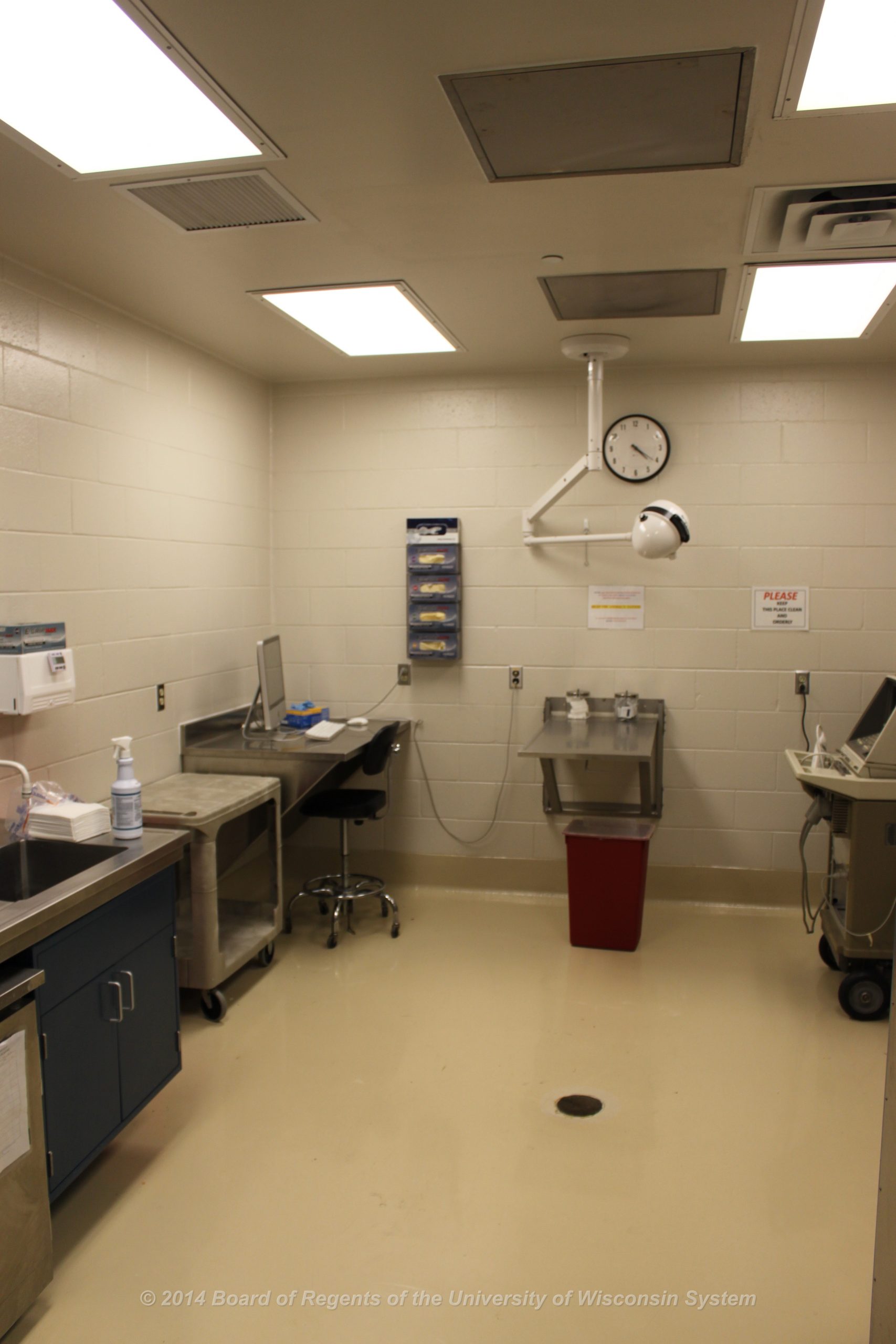 Rhesus macaque care and photos – Animals in Research and Teaching – UW ...